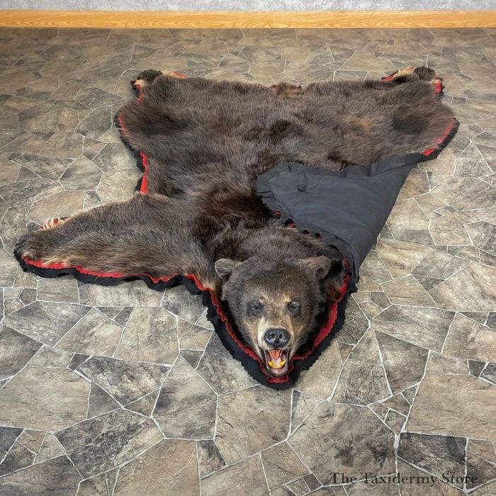bear rug