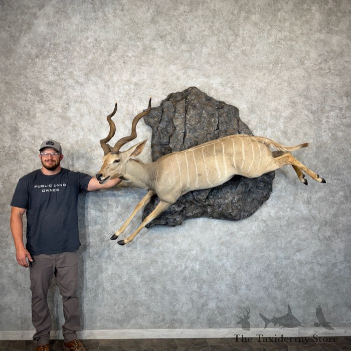 kudu mount